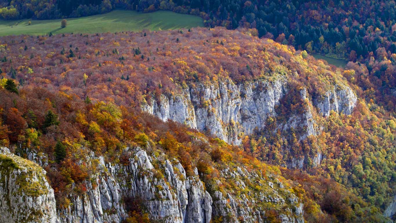 Bing Wallpaper Archive - France - October 2013